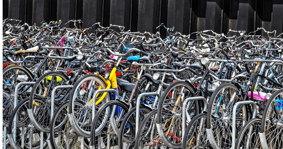 Types Of Bikes - 5 Popular Choices Revealed